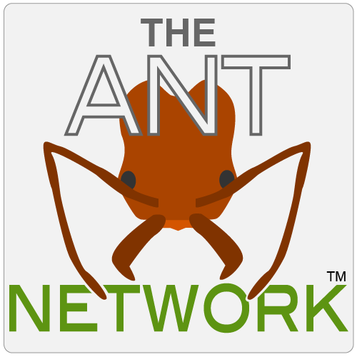 BREAKING NEWS: The Ant Network Wins Video Contest in Narrow Victory ...