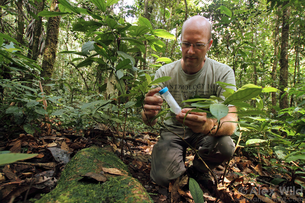 Ant Photographer Receives Positive Press – The Daily Ant