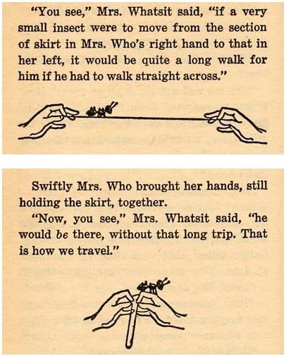 Ant Wrinkle in Time – The Daily Ant